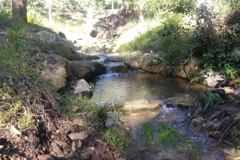 A Four Step Plan to clean up Scrubby Creek for good – Opinion Piece ...